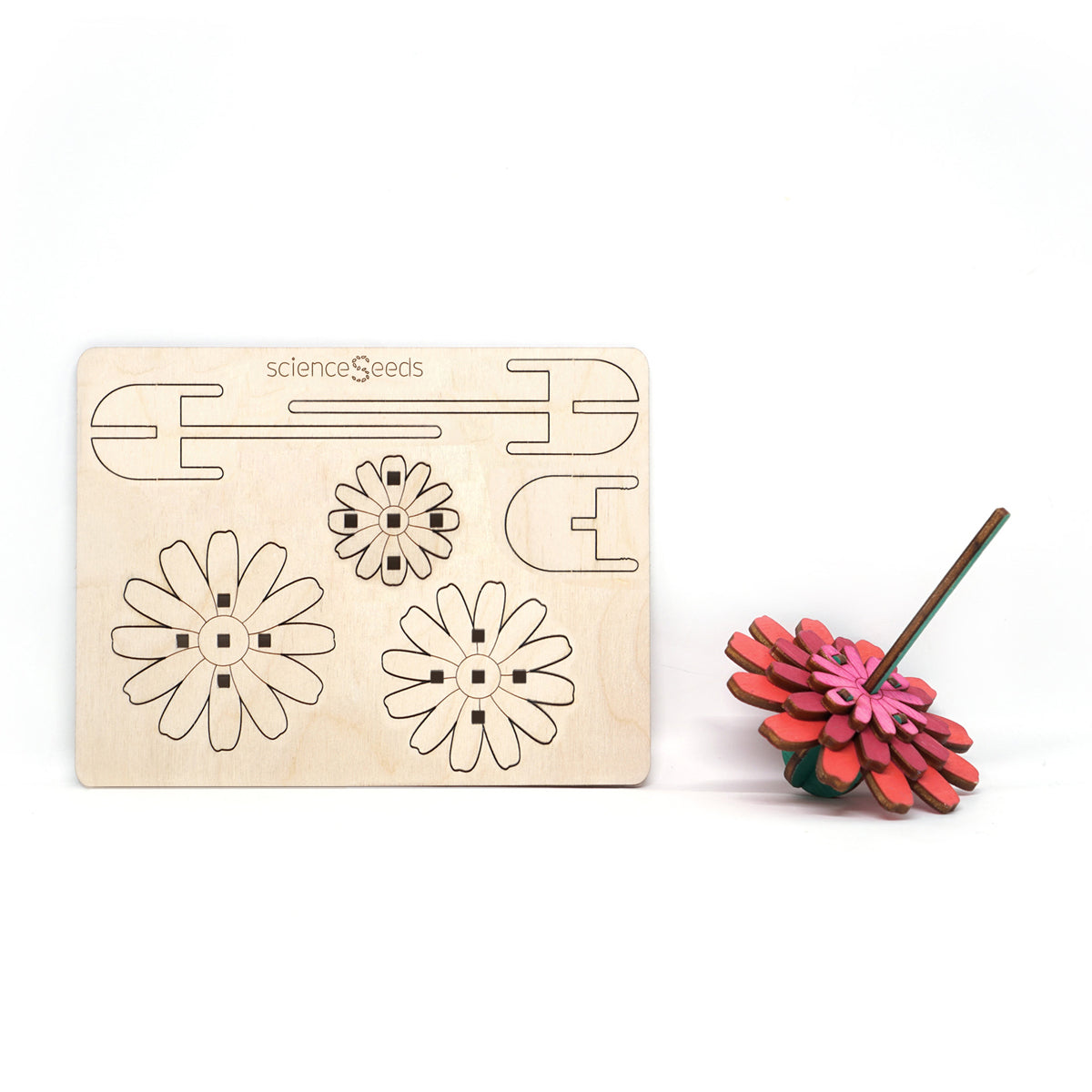 Daisy Flower Spinning Top Kit – scienceSeeds