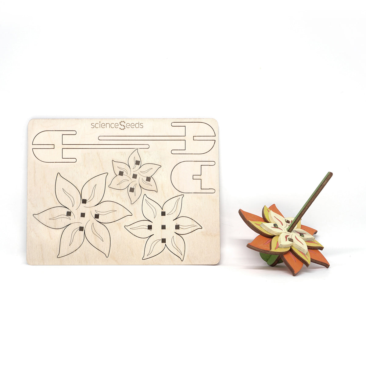 Lily Flower Spinning Top Kit – scienceSeeds